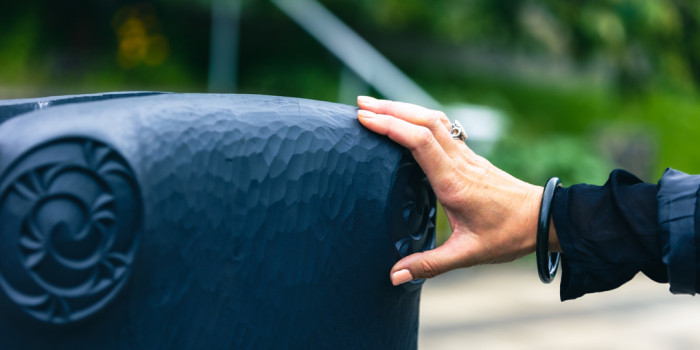 Kāpehu Dunedin - Otago Polytechnic